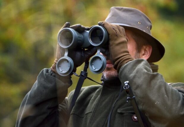 6 Ways Technology Has Helped Birdwatching - Comeau Computing