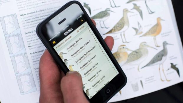 6 Ways Technology Has Helped Birdwatching - Comeau Computing