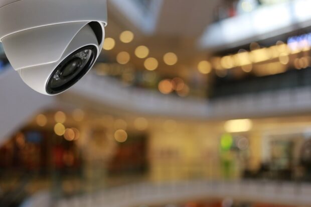 DIY Ring Camera Disguise Tips to Protect Your Home and Privacy - Comeau ...